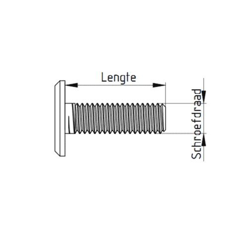 Binnenzeskant bout platkop - Verbindingen op maat // Rigo Metaal BV